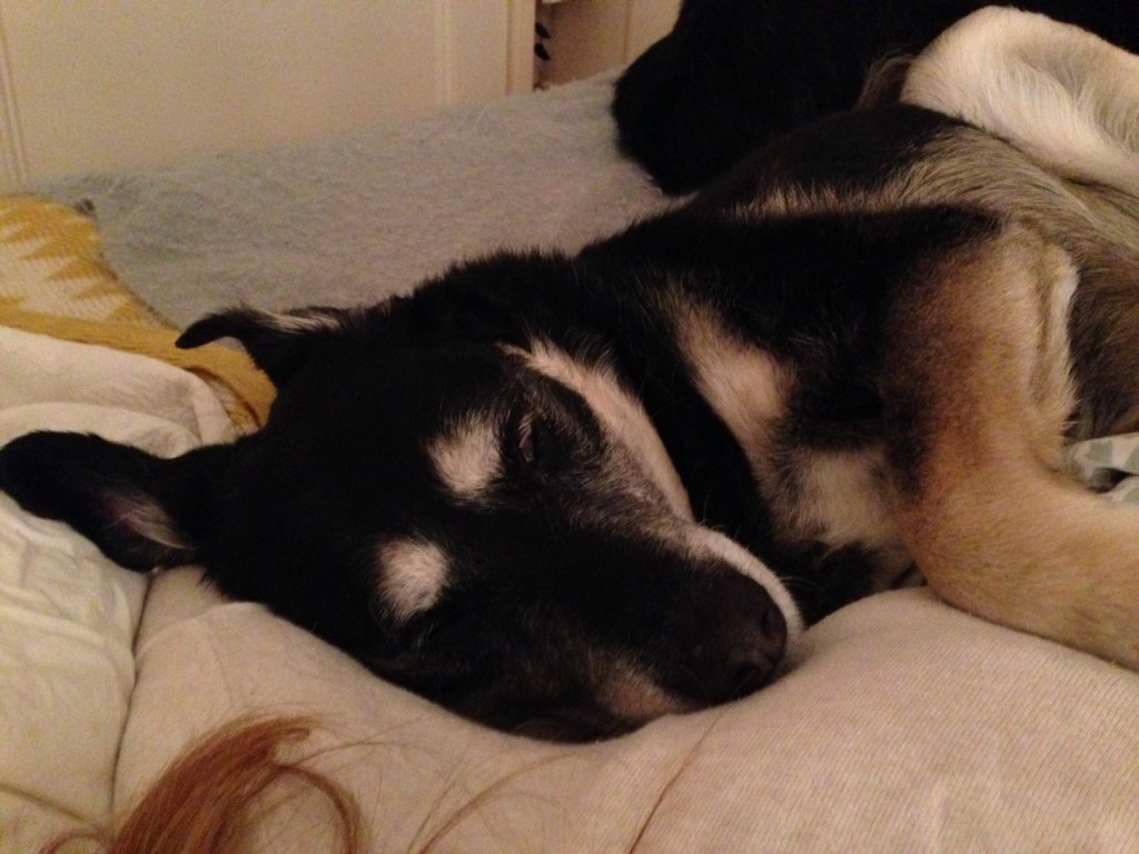 Wordless Wednesday {snuggle buddies} – bumpyroadtobubba