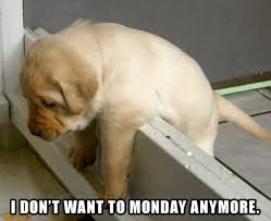 Why are Mondays so tricky? – bumpyroadtobubba