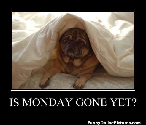 Why are Mondays so tricky? – bumpyroadtobubba