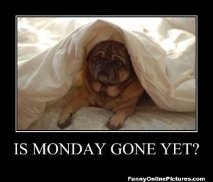 Why are Mondays so tricky? – bumpyroadtobubba
